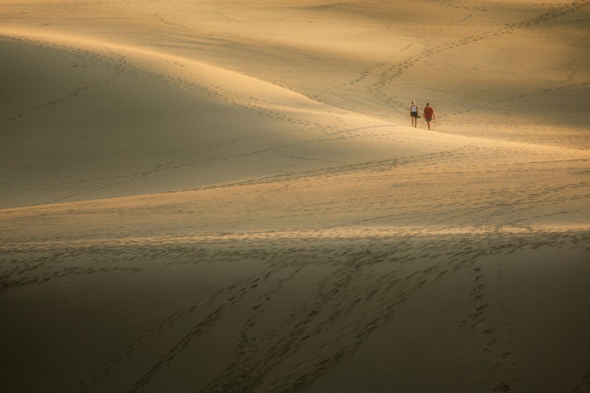 Desert Traveler | GANREF