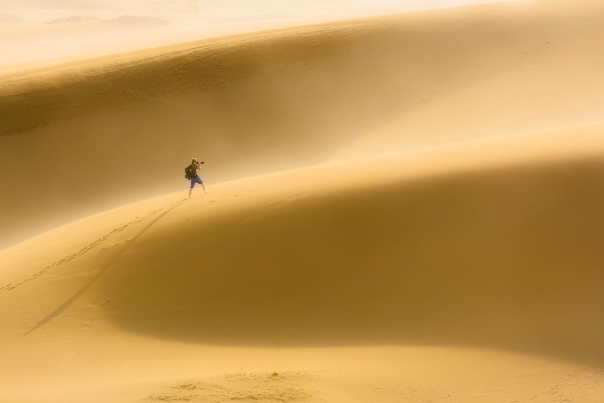 Desert Sniper | GANREF