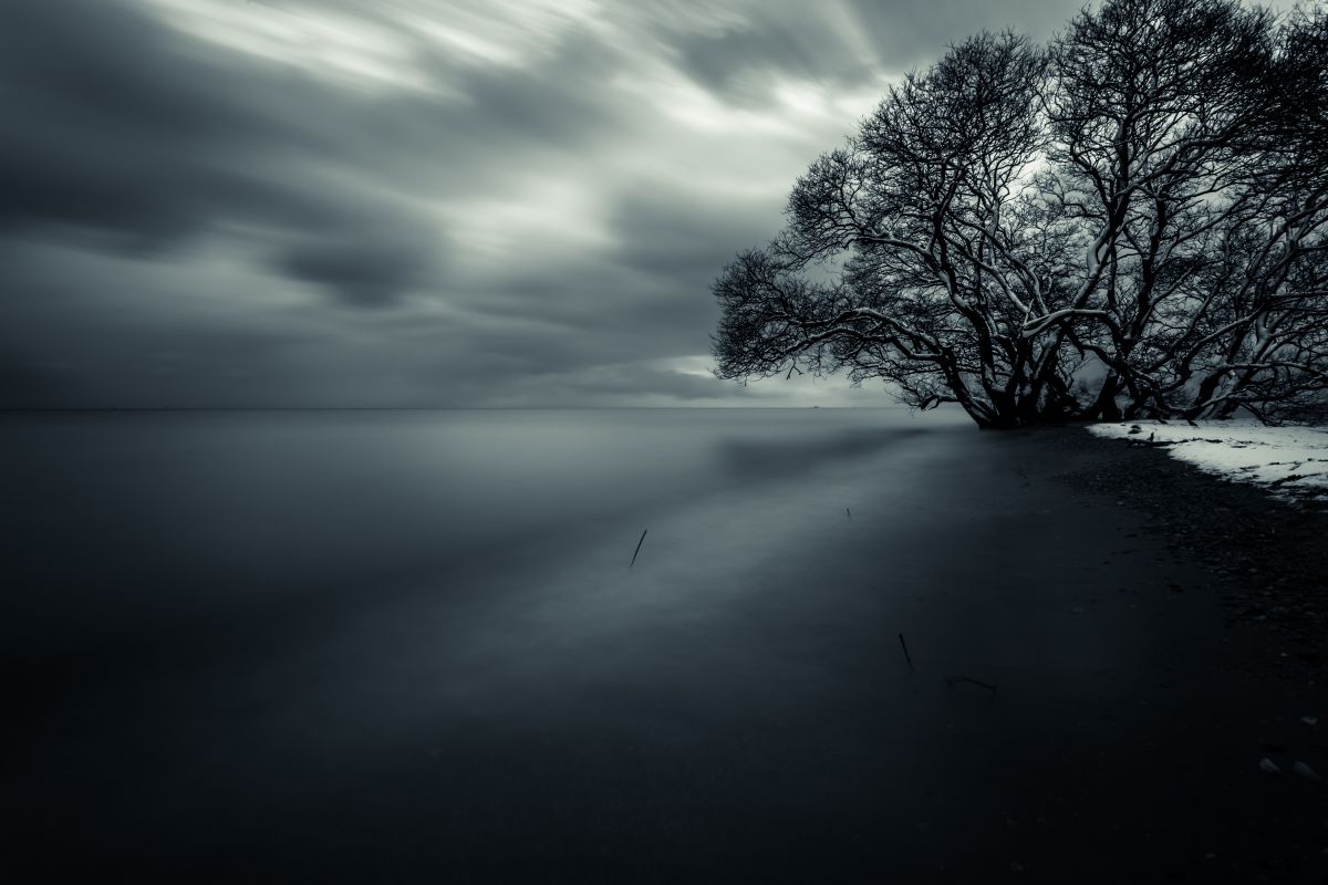 stream of time | GANREF