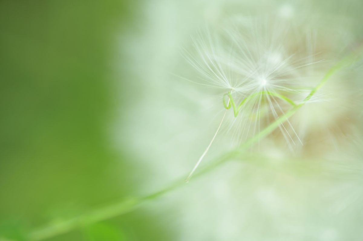 君を連れて ～Part Ⅱ～ | GANREF