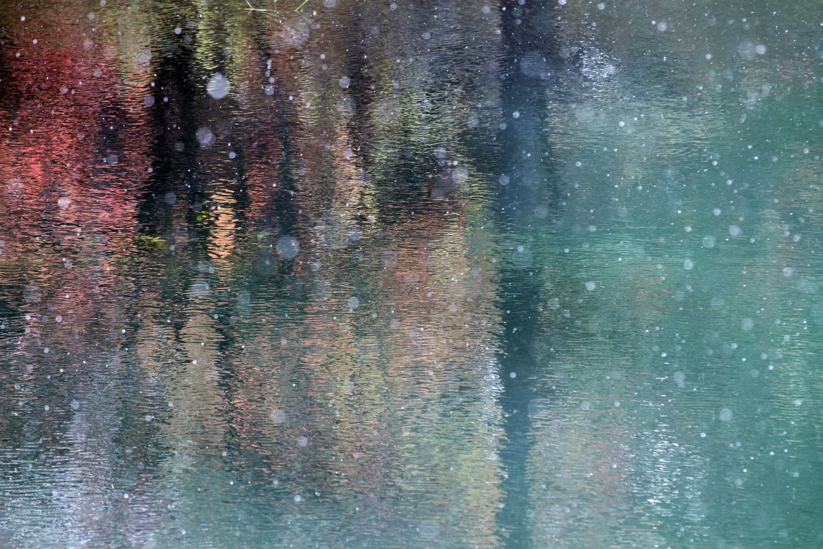 first＊snow | GANREF