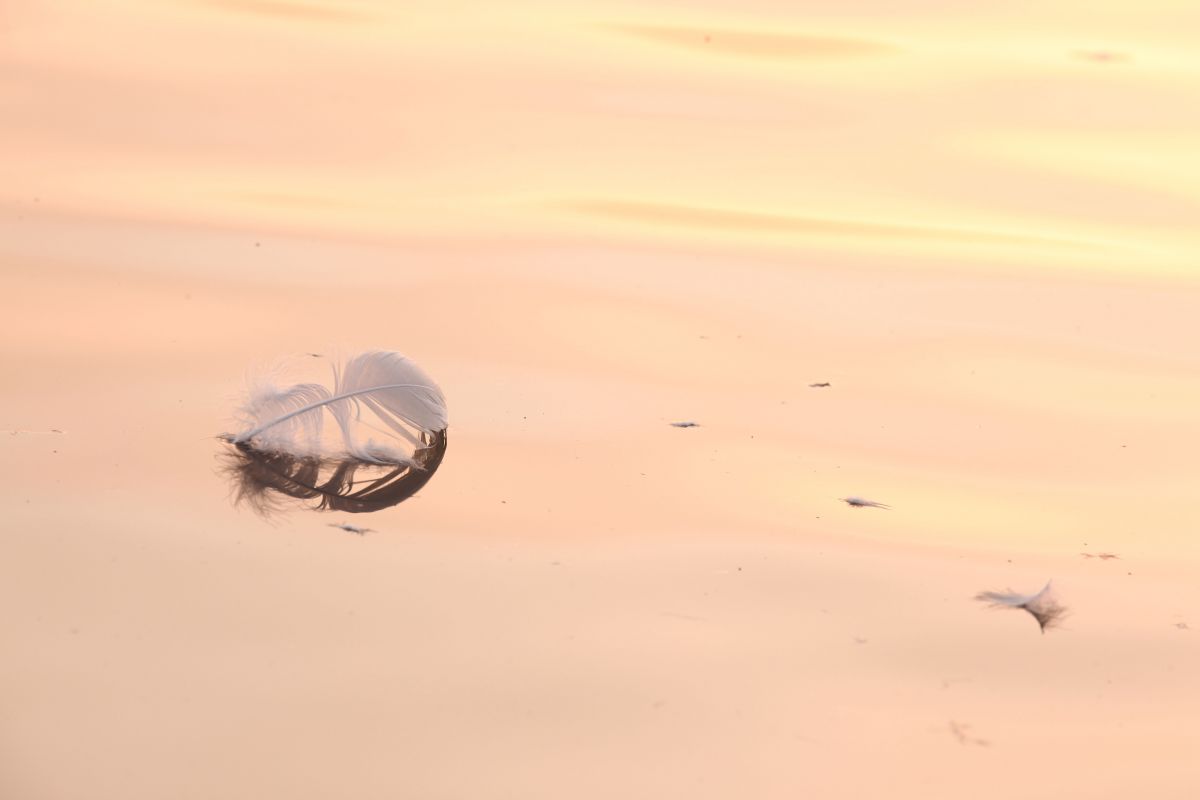 ＊good-bye＊ | GANREF