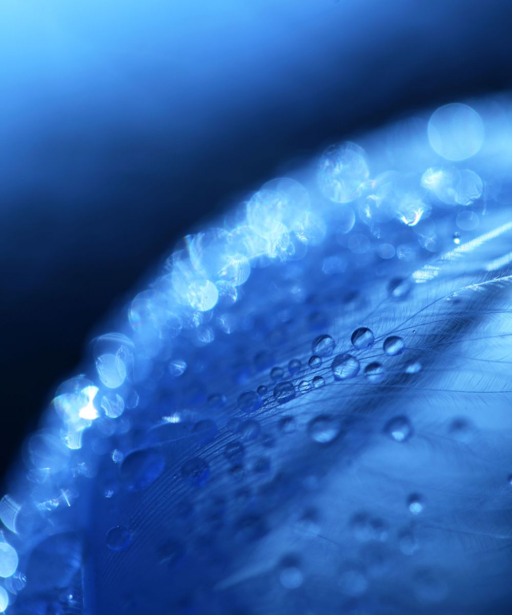 feather★planet | GANREF