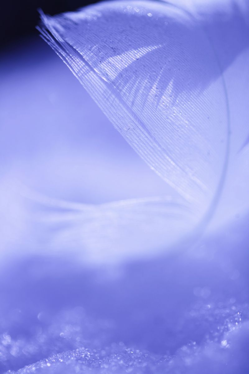 ＊One more time＊ | GANREF