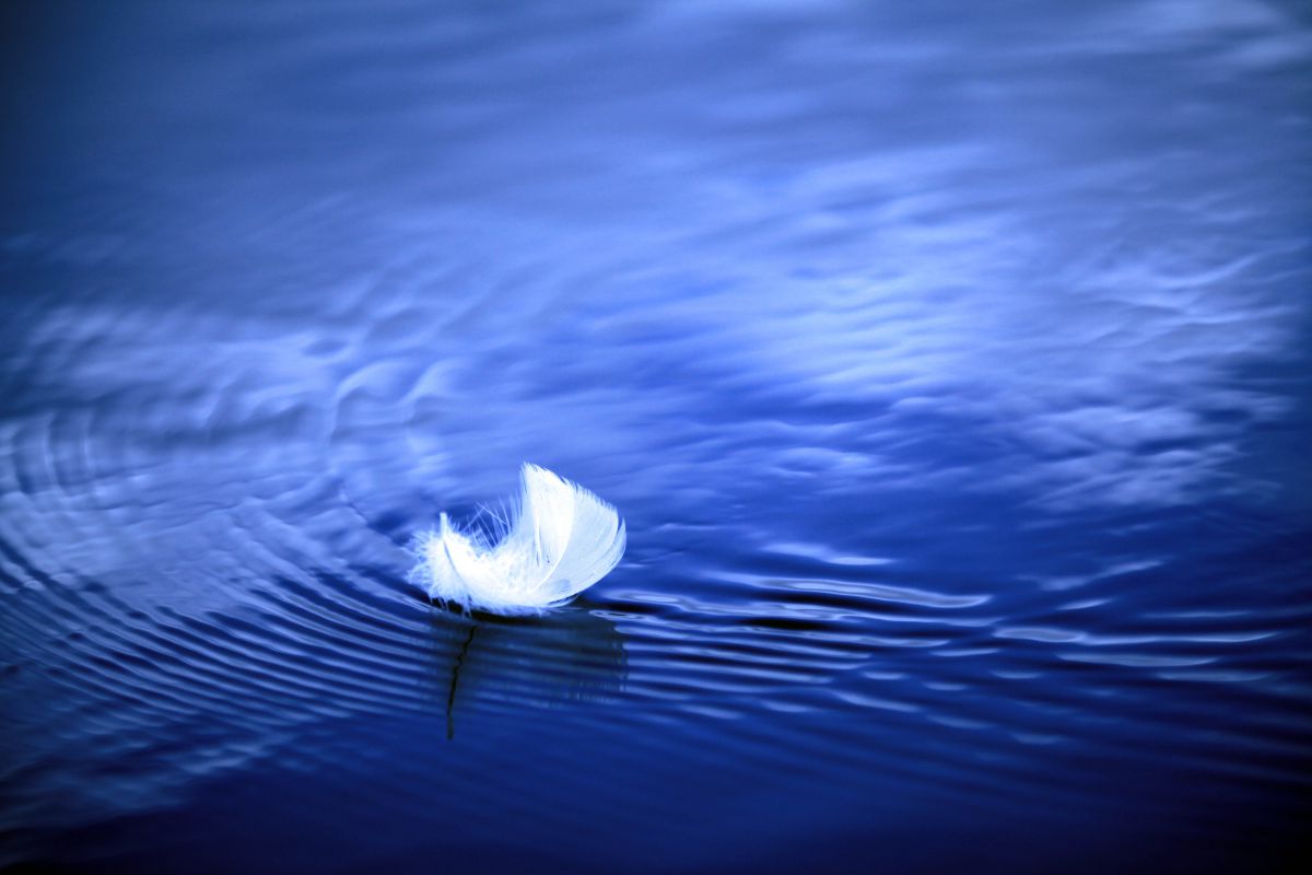 another sky ＊ | GANREF