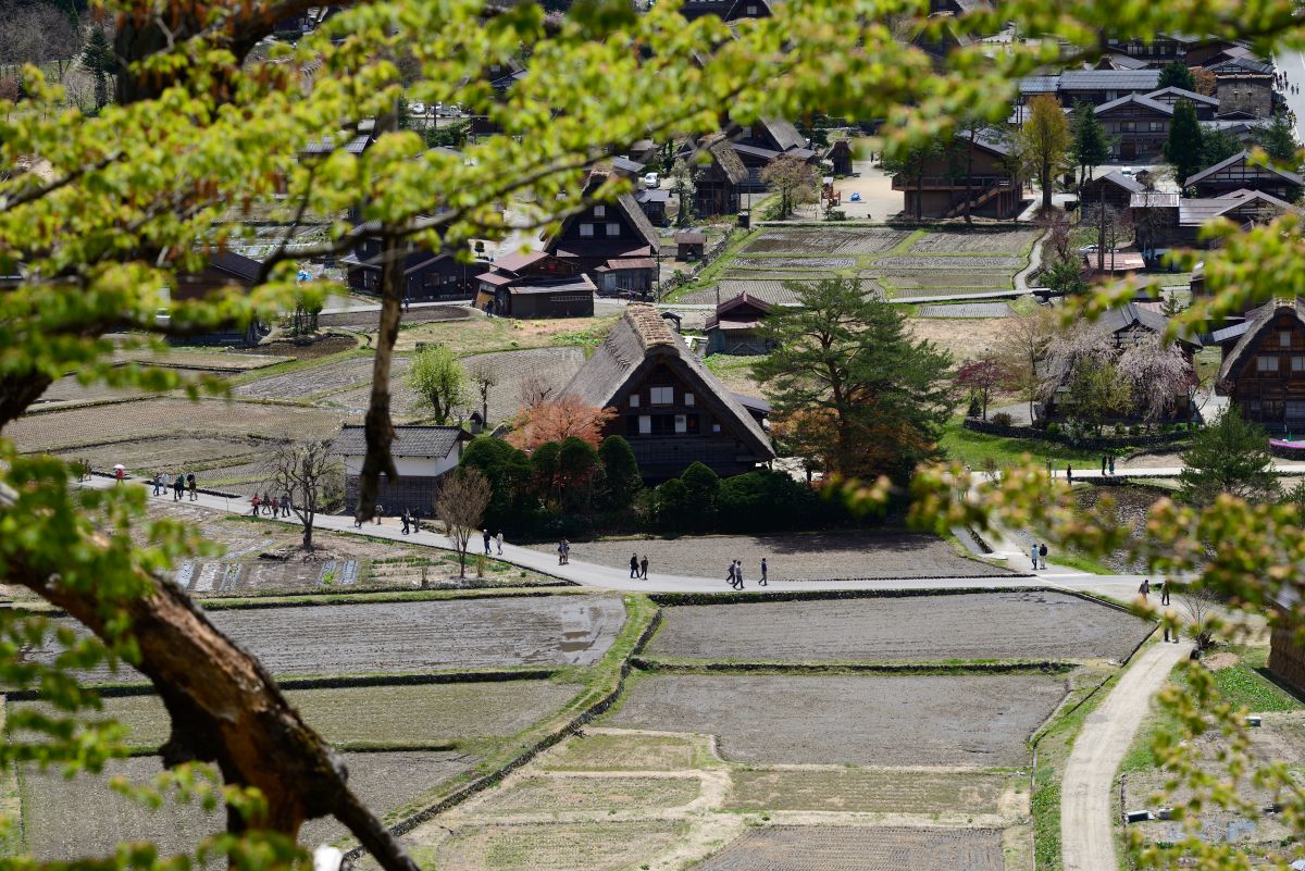 GWの白川郷 | GANREF