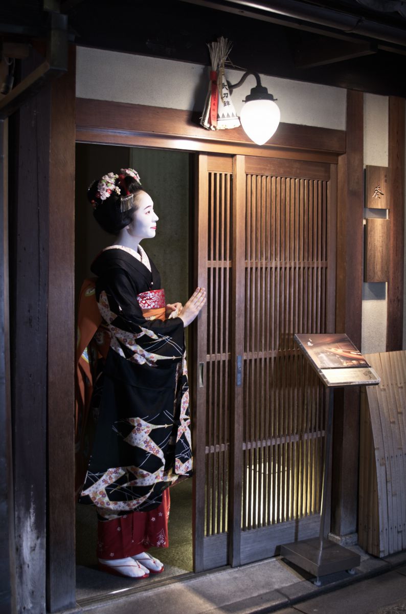 舞妓はん | GANREF