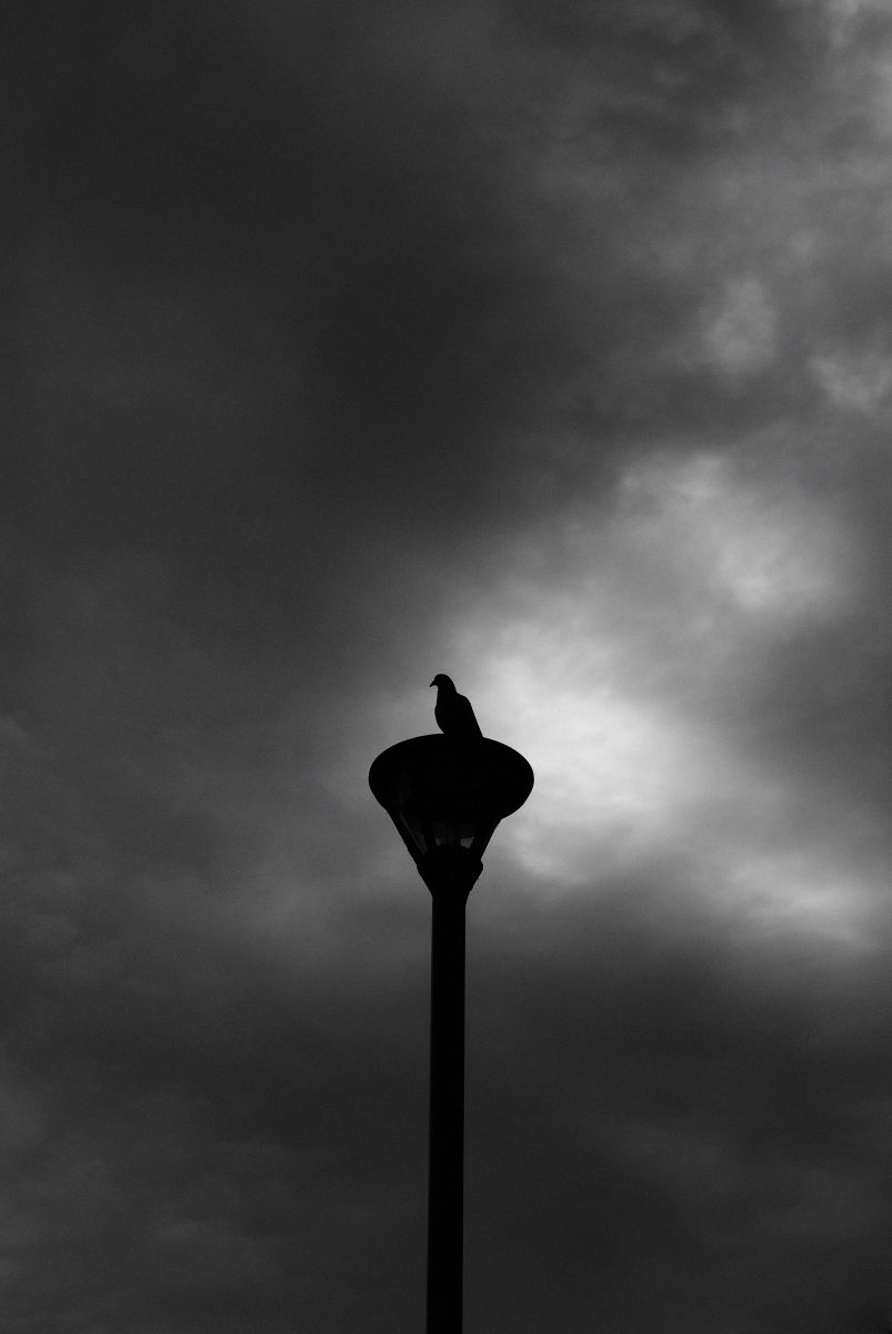 stand alone | GANREF