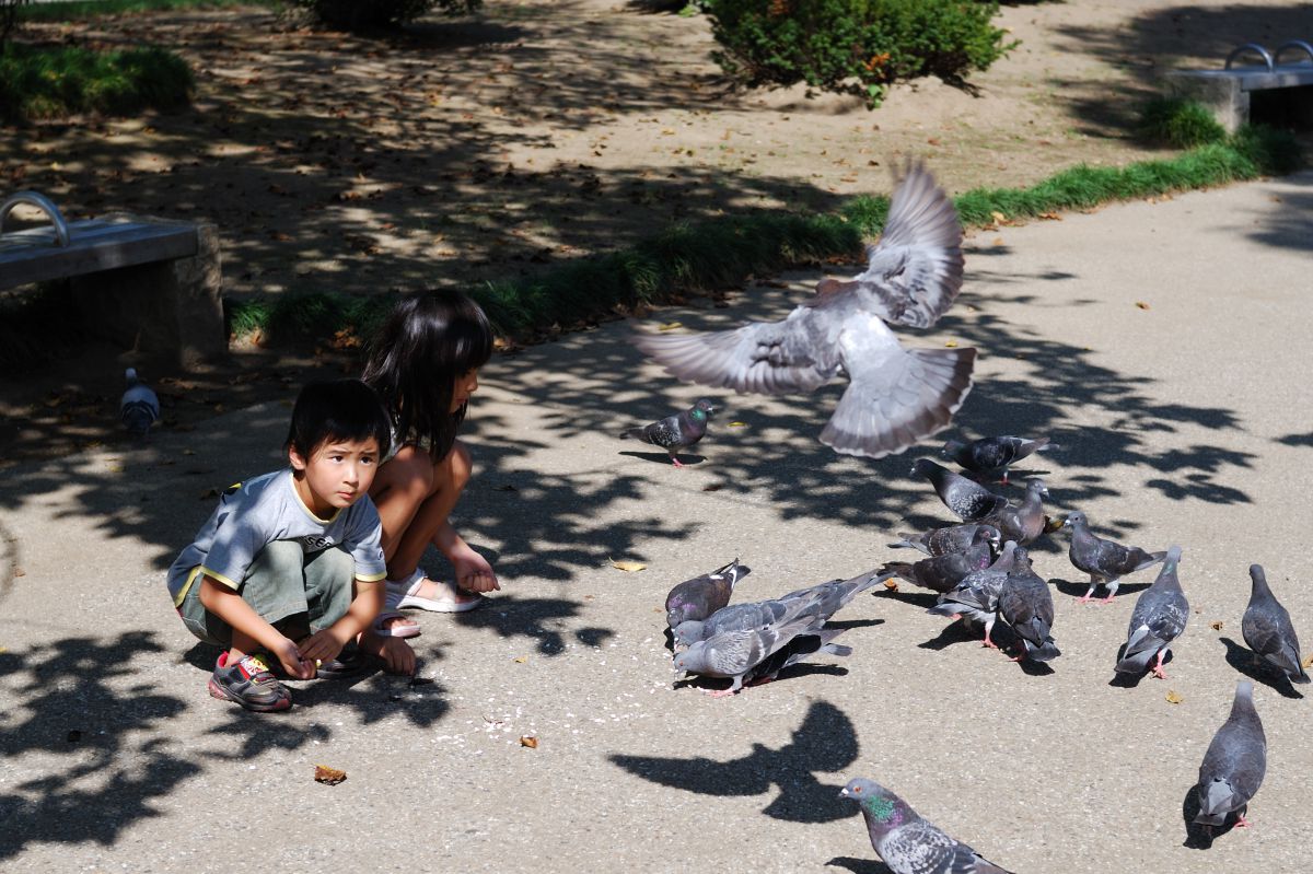 eye contact | GANREF