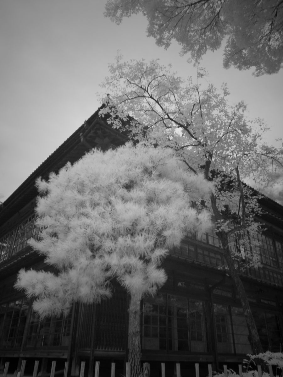 frozen space #6 -Japanesque- | GANREF