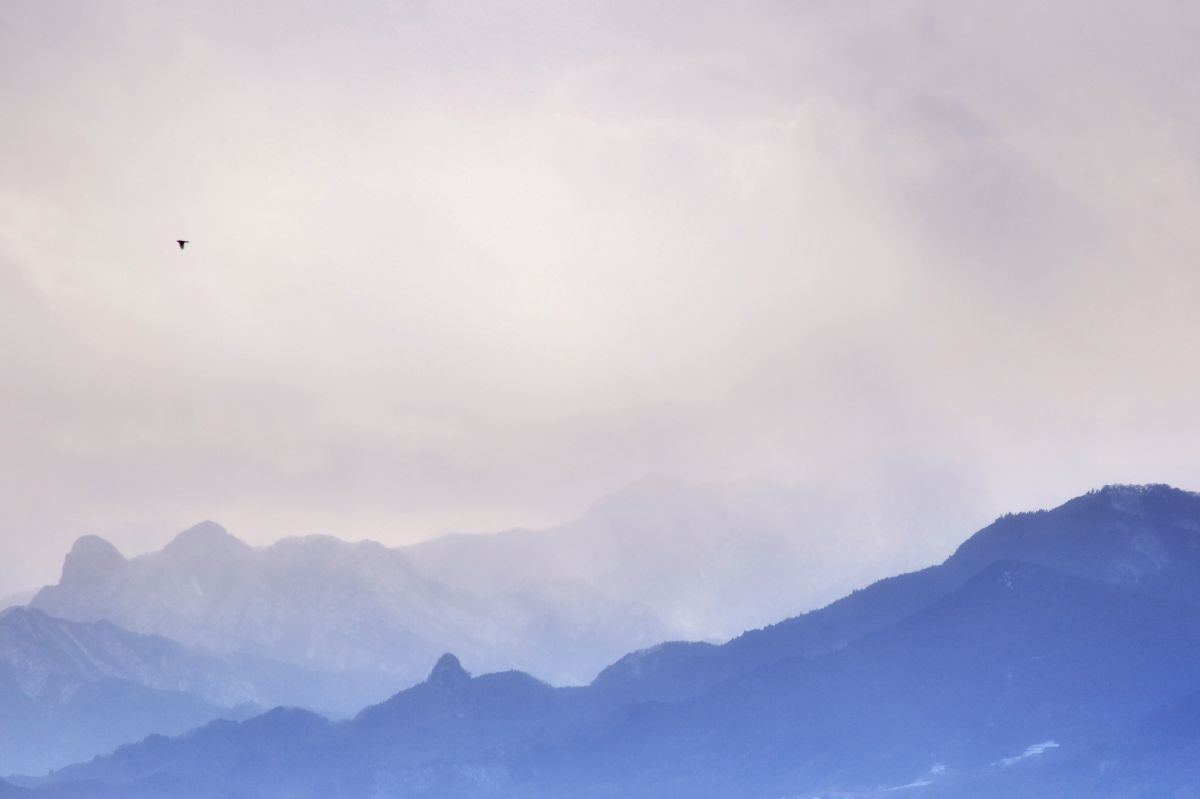 misty valley | GANREF