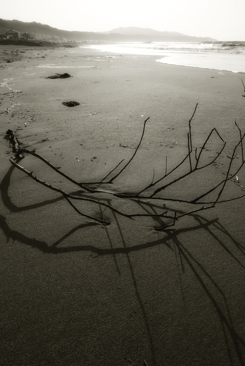 after storm | GANREF