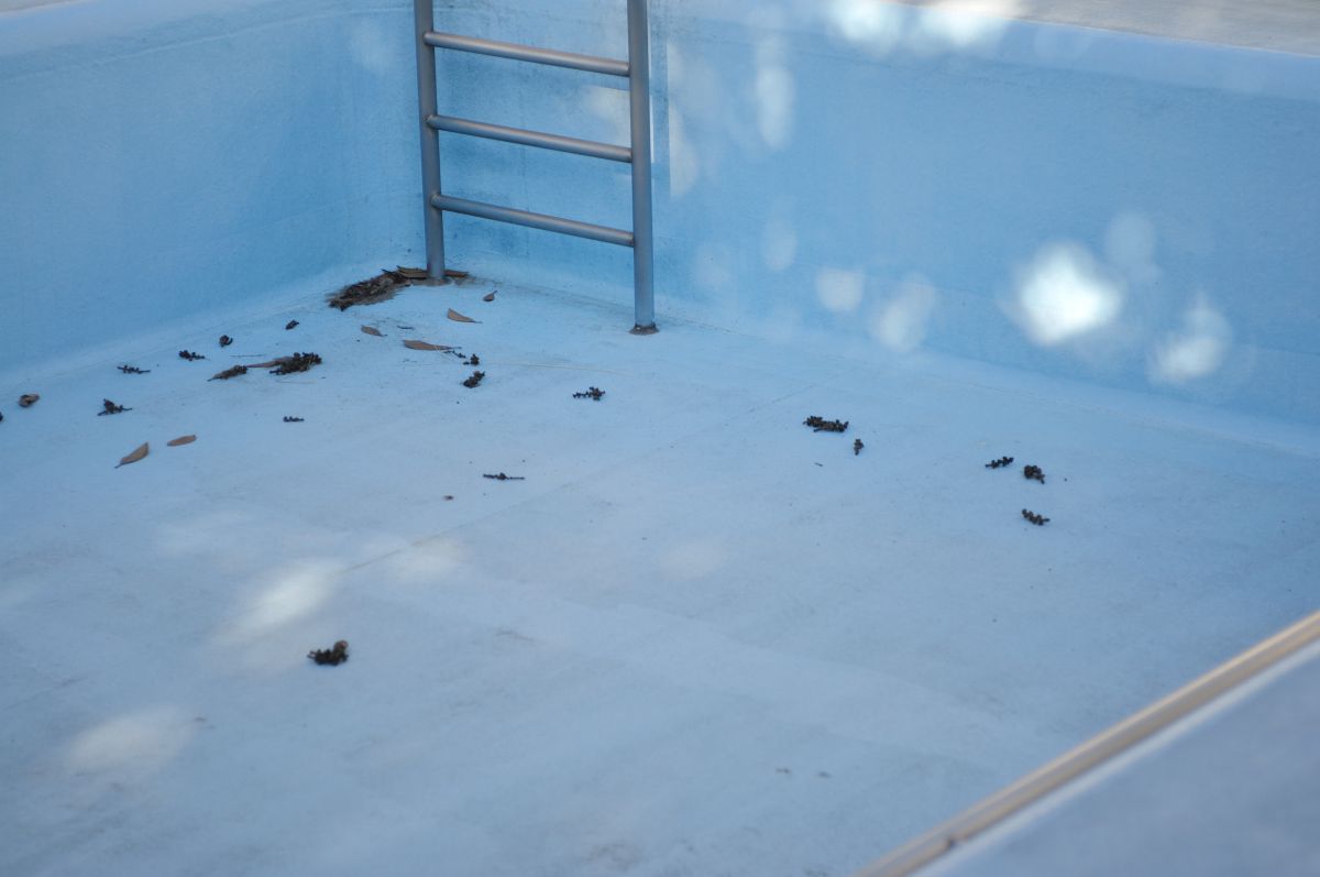 winter pool | GANREF