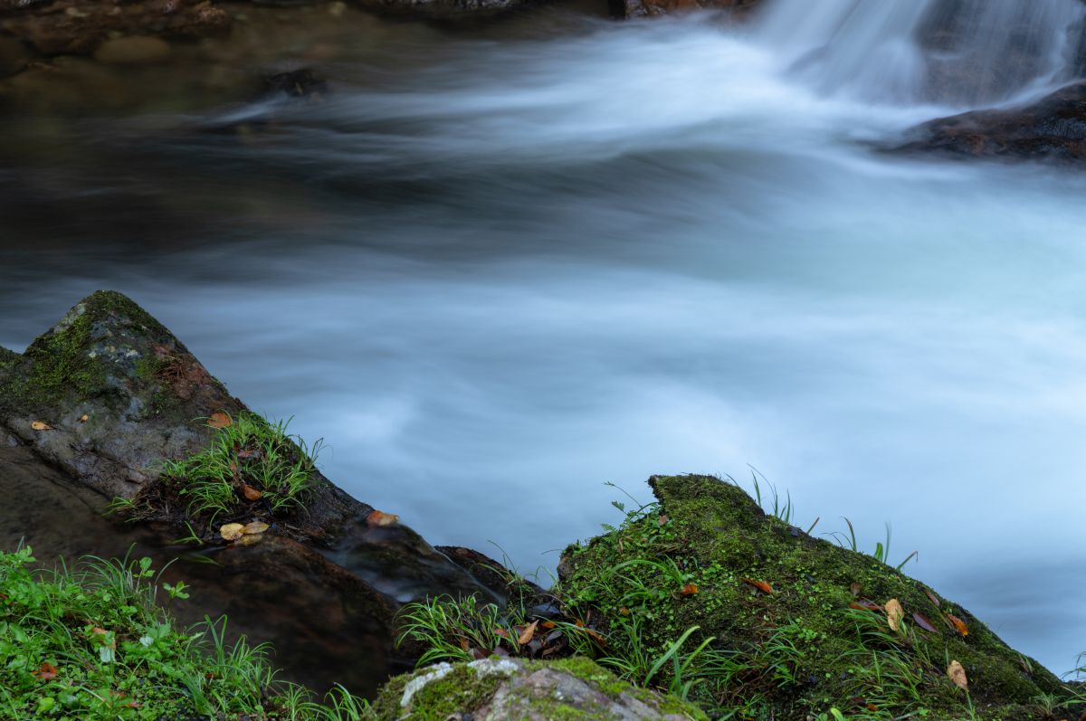 Time＆Flow I | GANREF