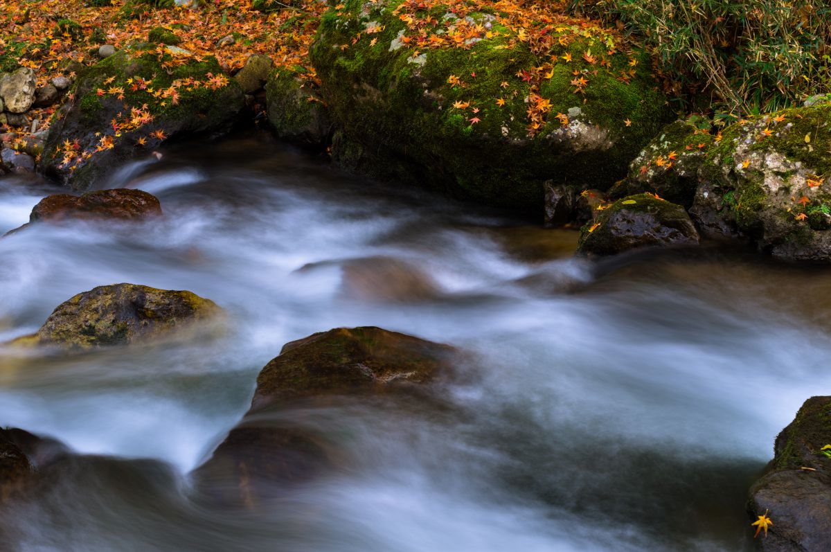 Time ＆ Flow 雅 | GANREF