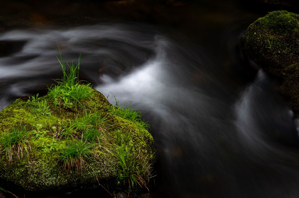 Time ＆ Flow 新緑 | GANREF