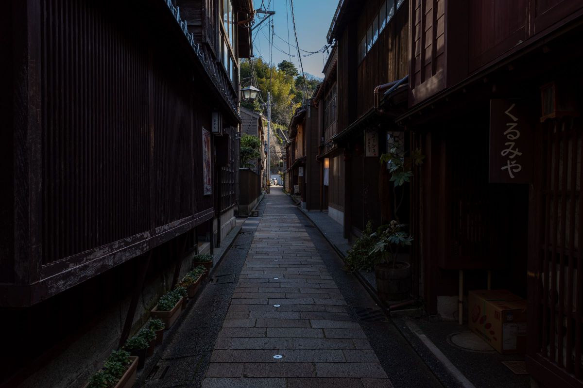 朝の散歩でIV | GANREF