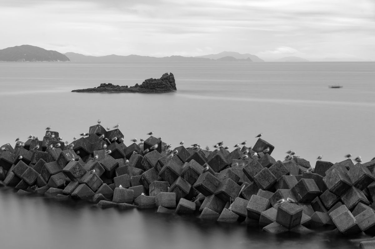 Time and Tide - Calm | GANREF