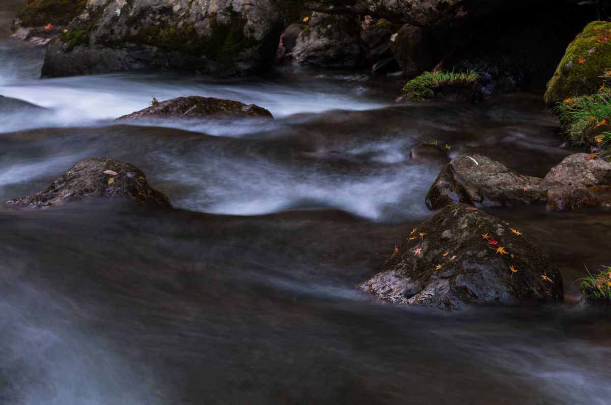 Time ＆ Flow Adagio | GANREF