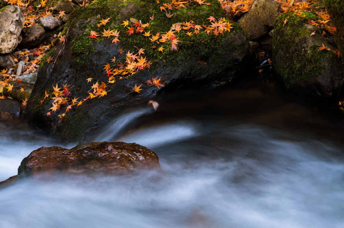 Time ＆ Flow 彩 | GANREF