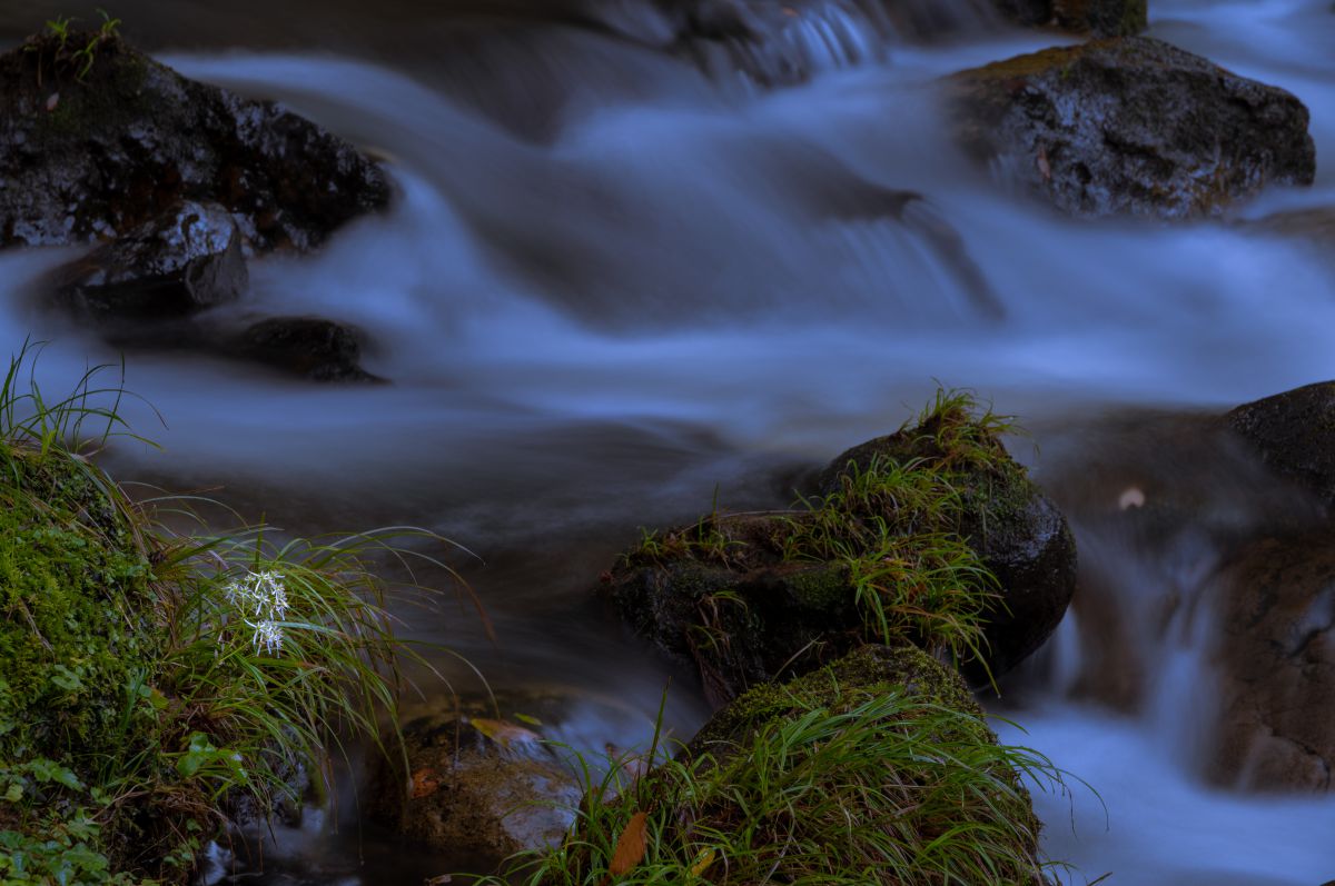 Time ＆ Flow 一輪 | GANREF