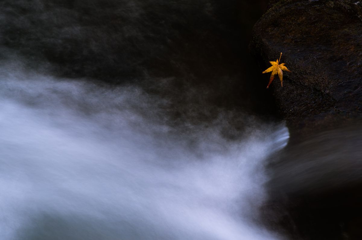 Time ＆ Flow 孤 | GANREF