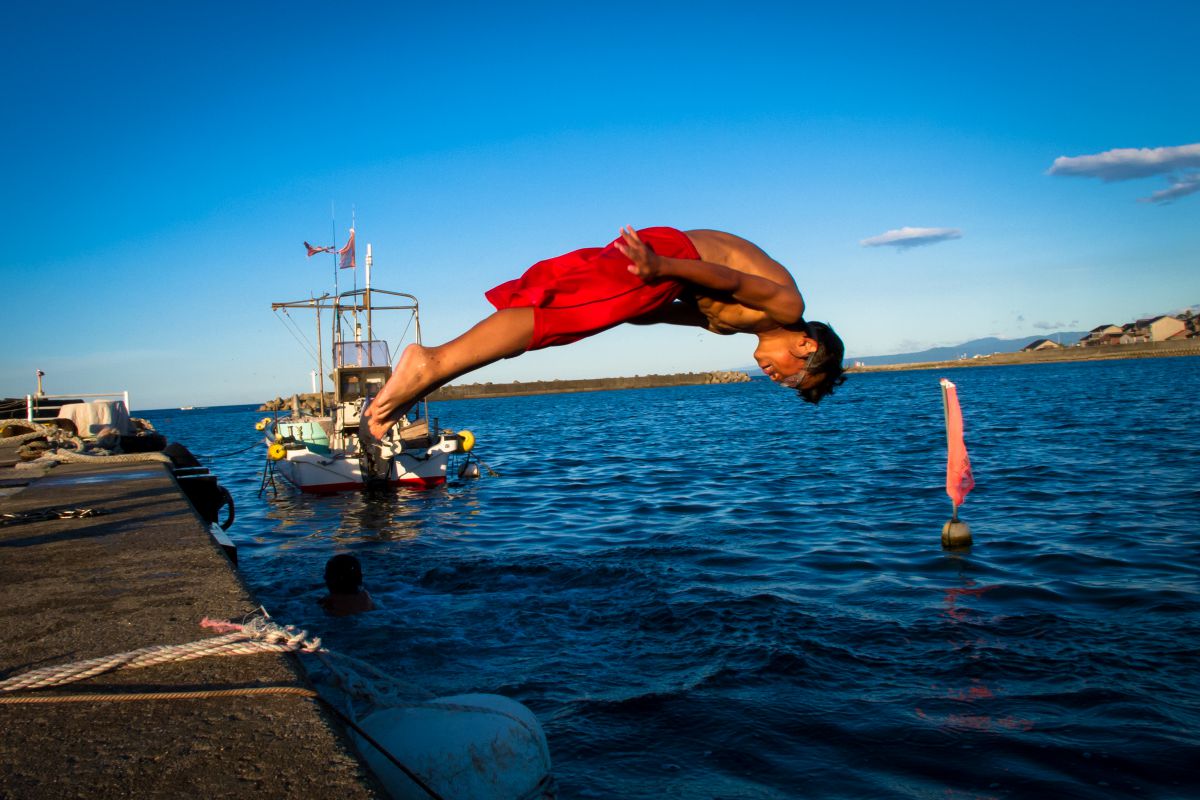 dolphin dive | GANREF