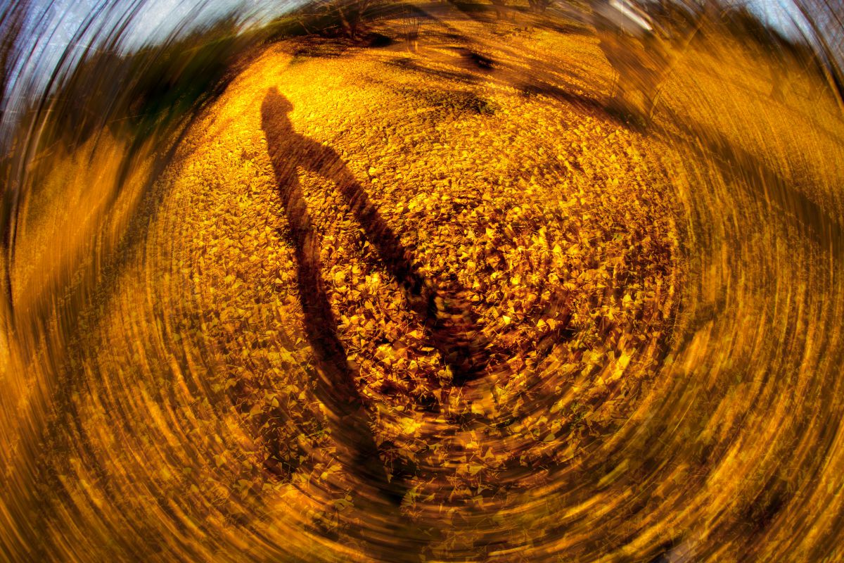 into vortex | GANREF