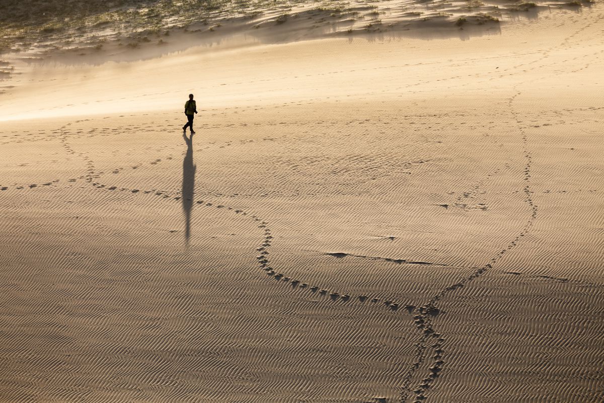 砂丘Walker | GANREF