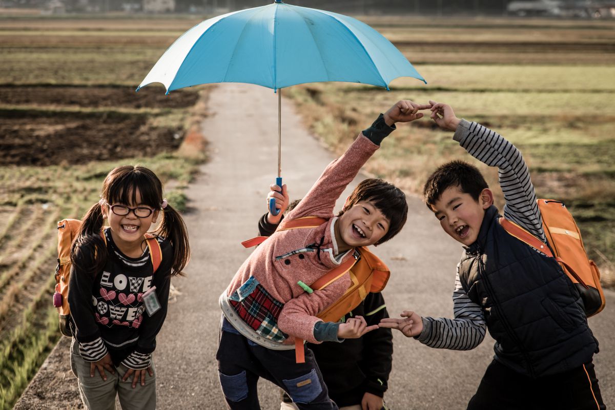 フュージョン Rev. | GANREF