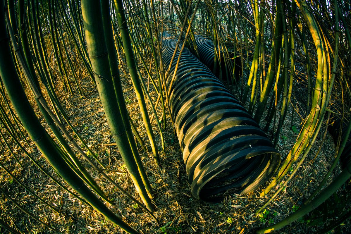 eternal existence | GANREF