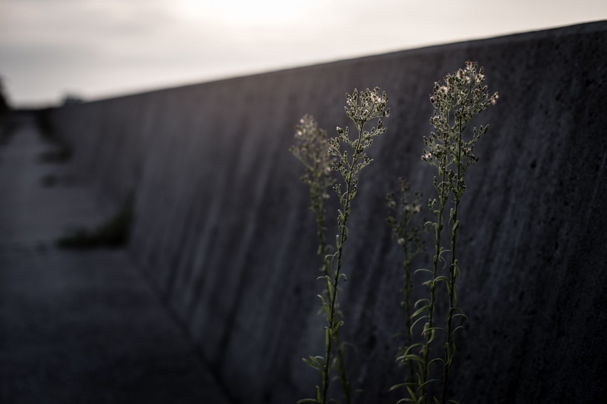 Untitled ＃4 | GANREF