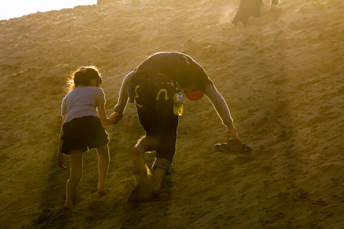 砂丘Climber | GANREF