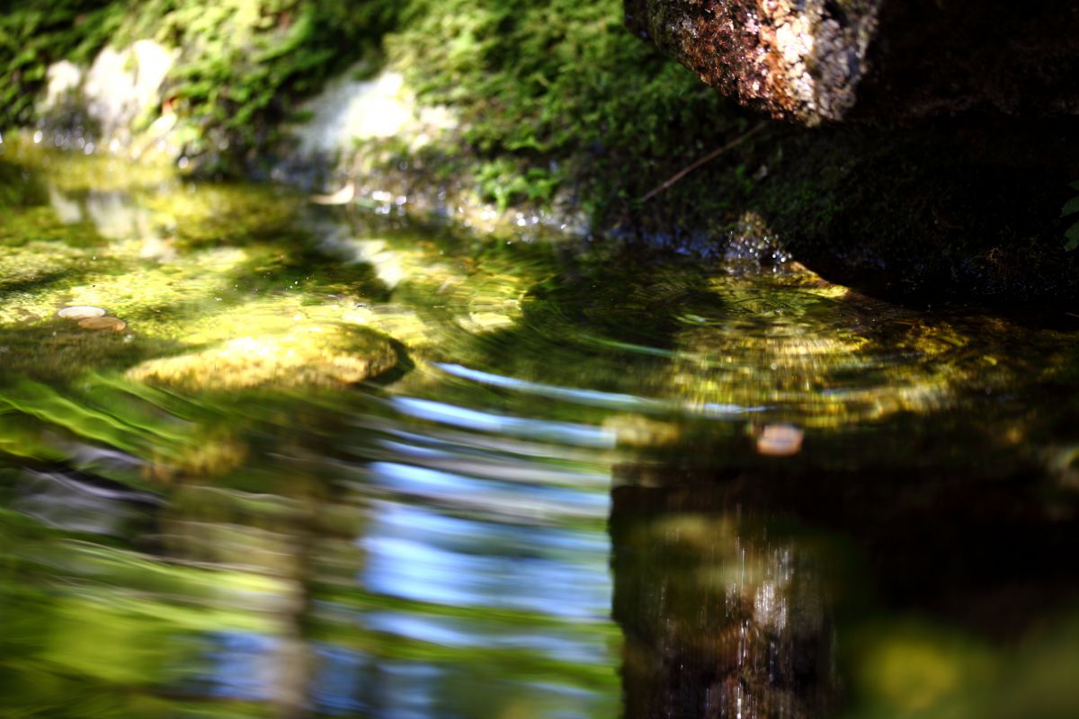 ぽた、ぽた | GANREF