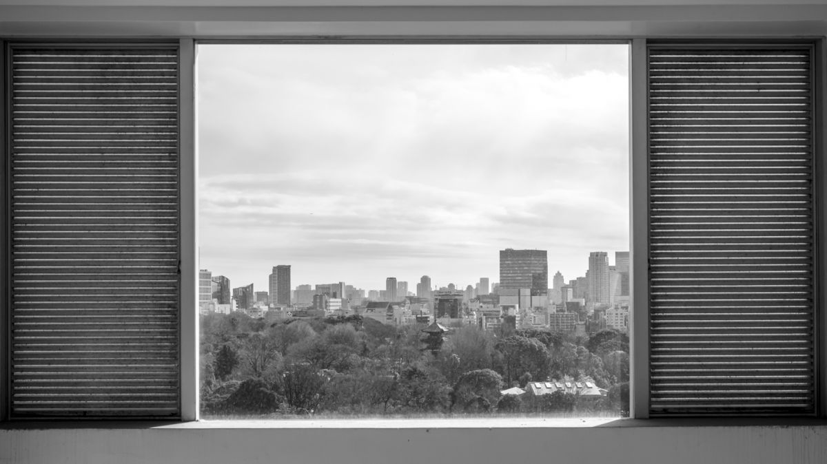 through the window | GANREF