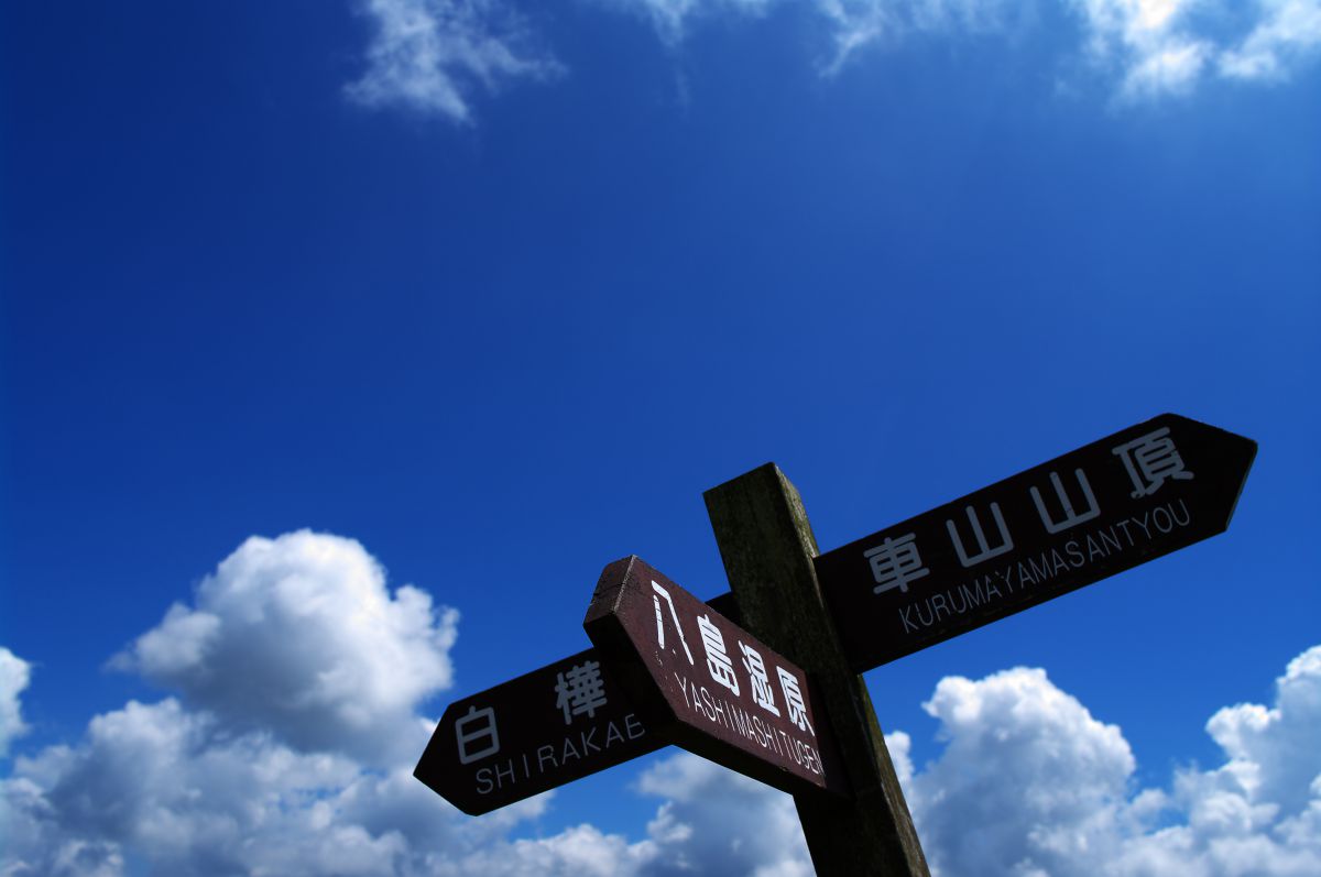 That way, this way | GANREF