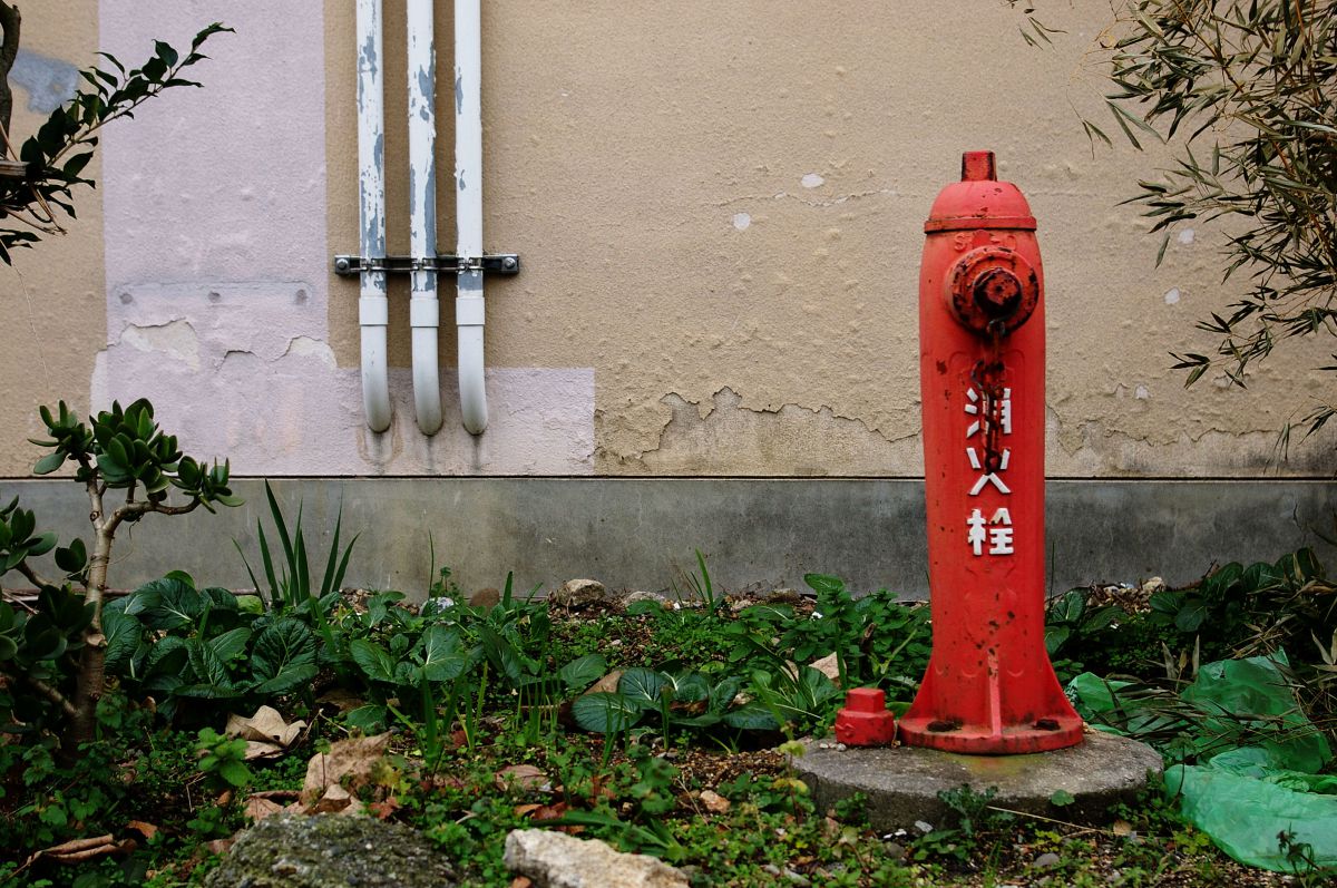 lllと消火栓 | GANREF