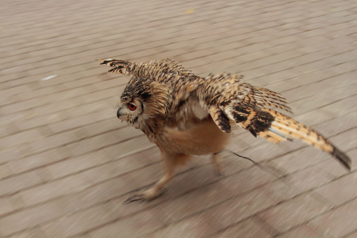 Truth （2） | GANREF