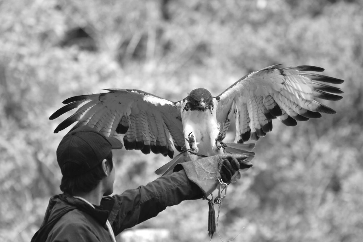 Application Form | GANREF