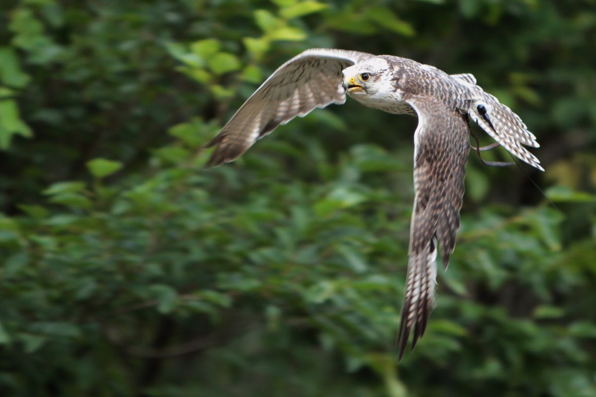 Turning Point | GANREF