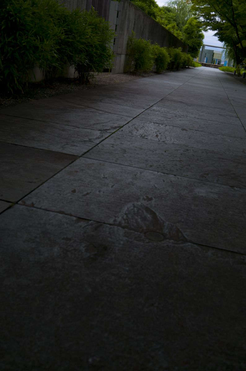 floor space. | GANREF