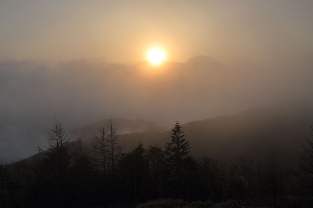 The misty mountain | GANREF