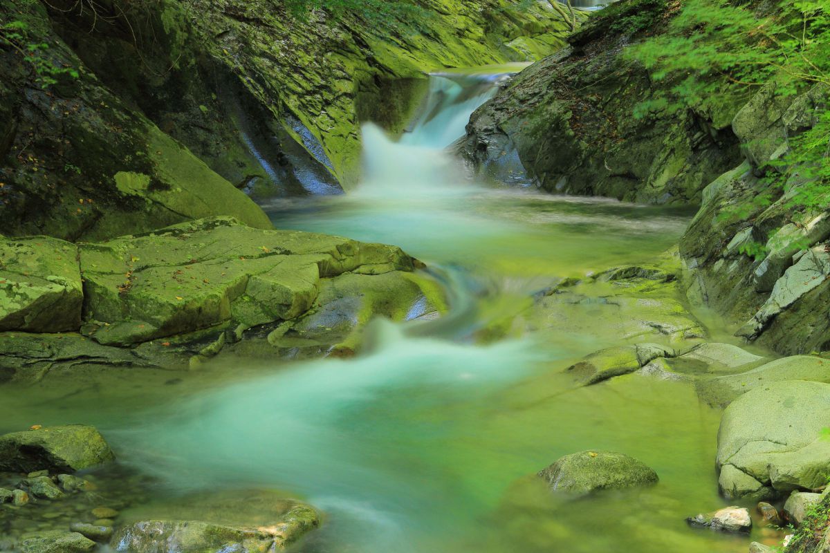 Green Stream | GANREF