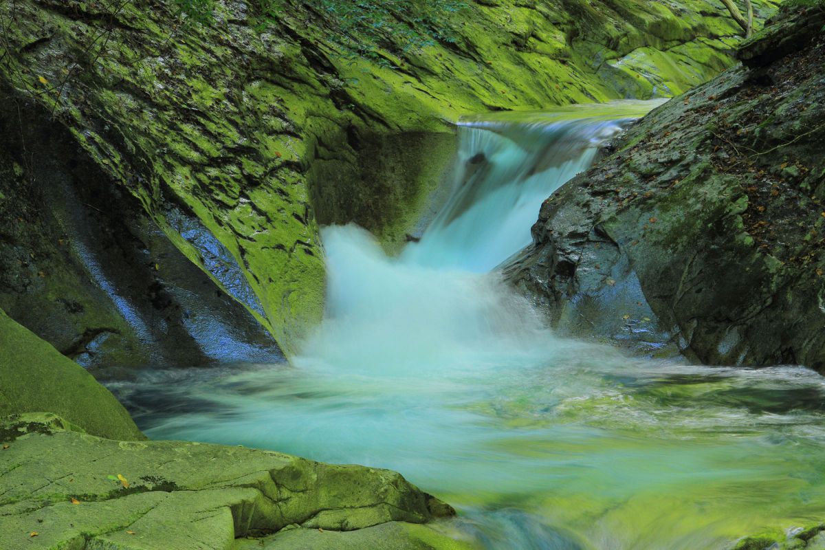 Emerald flows | GANREF