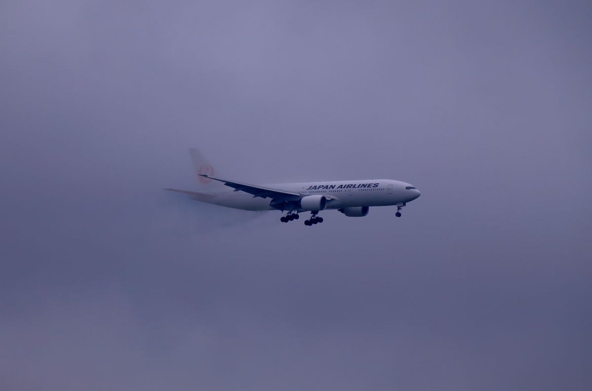 HALF＆HALF | GANREF