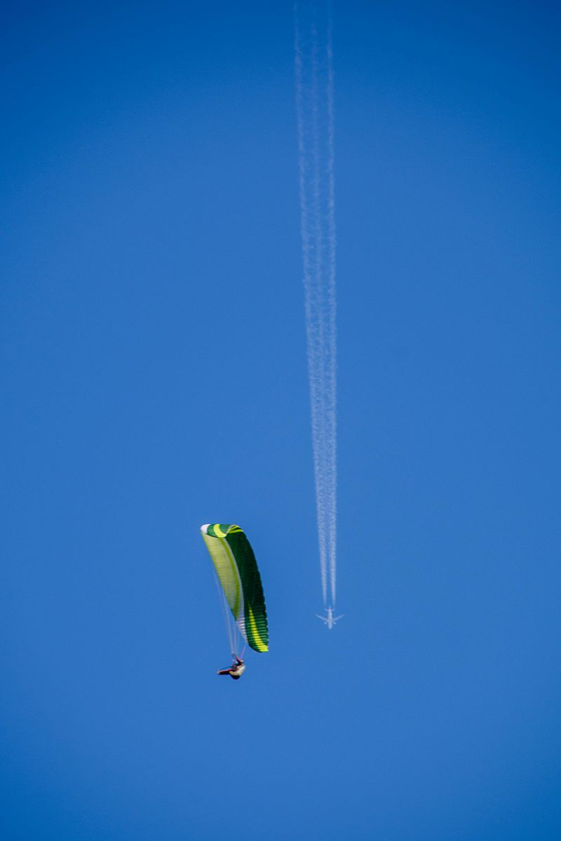 flight & flight | GANREF