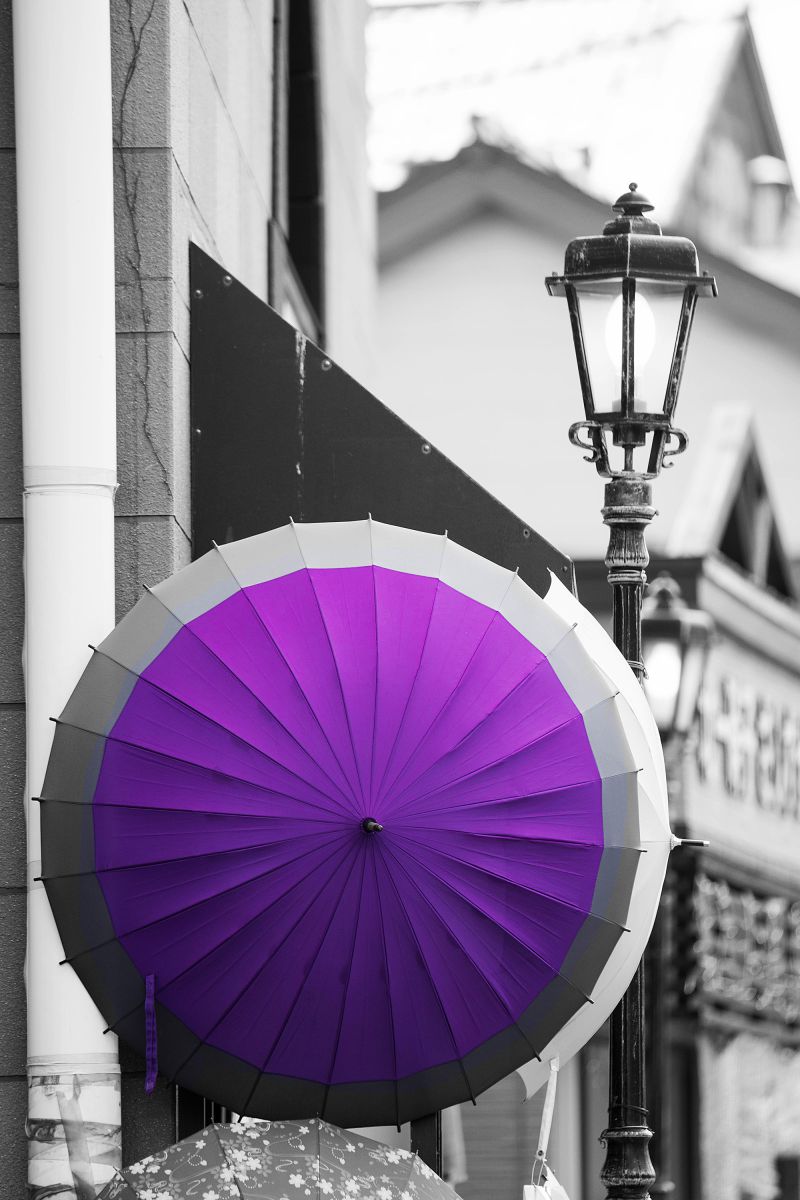 purple passion | GANREF