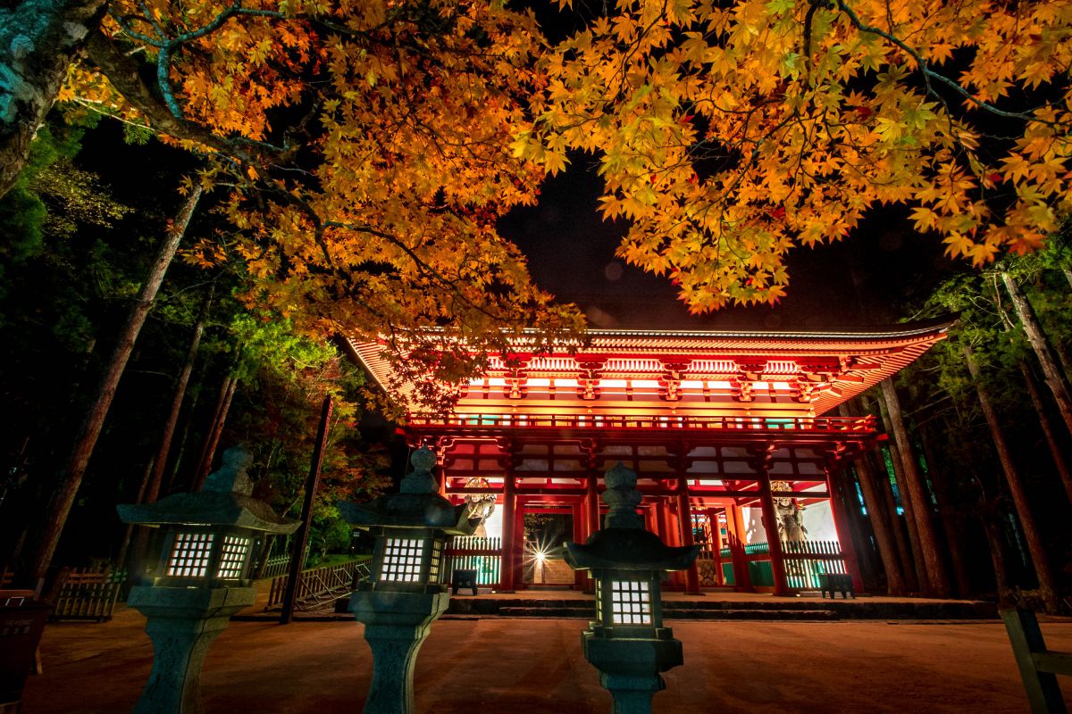 midnight autumn | GANREF