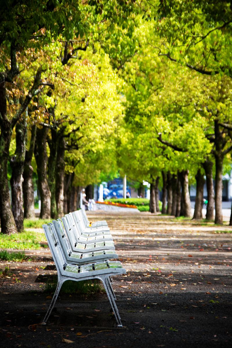 fresh green | GANREF