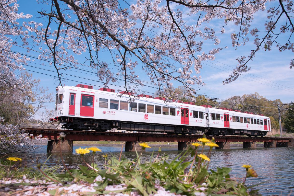 spring train | GANREF